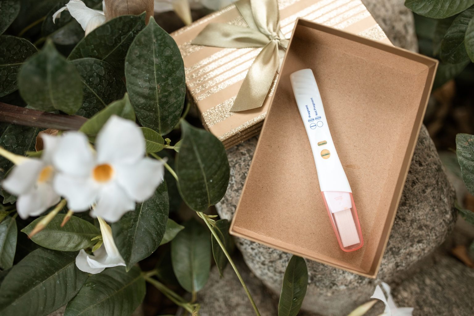 5 Best At-Home Pregnancy Test Kits with High Accuracy