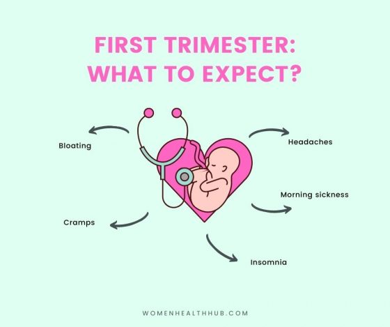 How to prepare for the first trimester of pregnancy