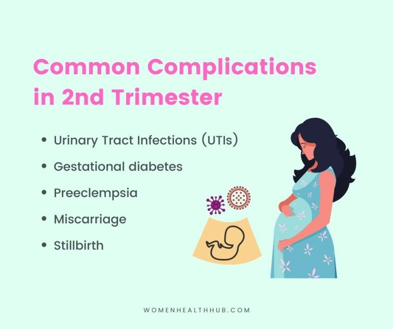 2nd Trimester of Pregnancy: Signs, Precautions, Risks & Diet